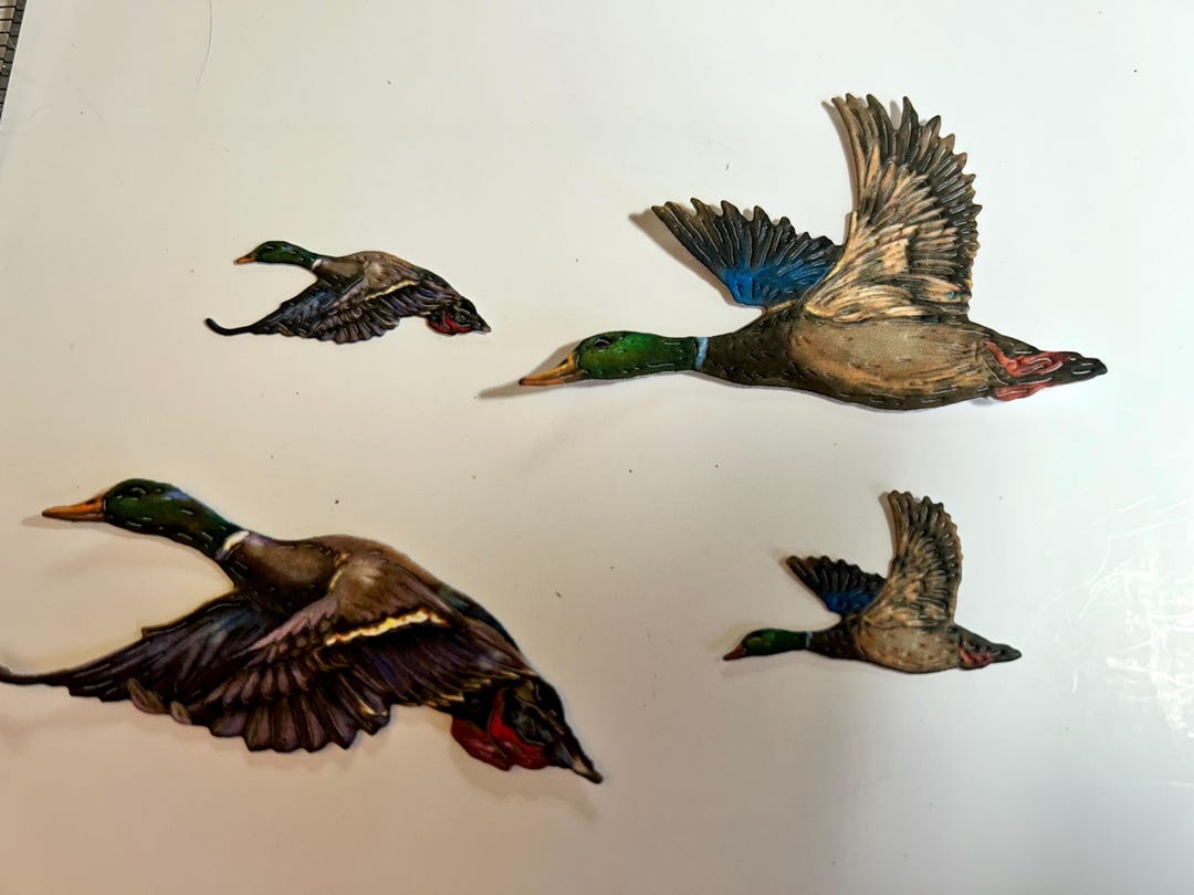 16 Mallard Ducks Paper Die Cut, Card Supplies, Scrapbooking, Paper ...