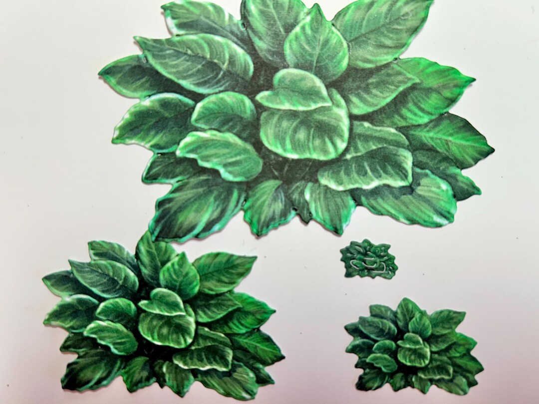 4 Sets of Hosta Plant, Paper Die Cut, Card Supplies, Scrapbooking ...