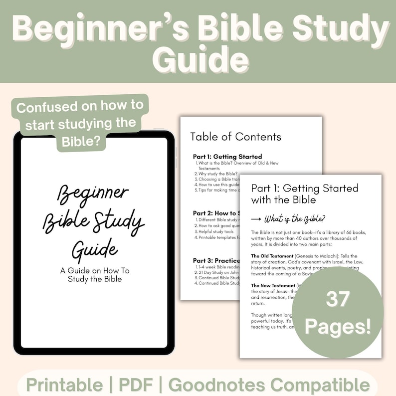 Beginner Bible Study Guide, How to Study the Bible, New Believers Bible Worksheet, Women's Daily ...