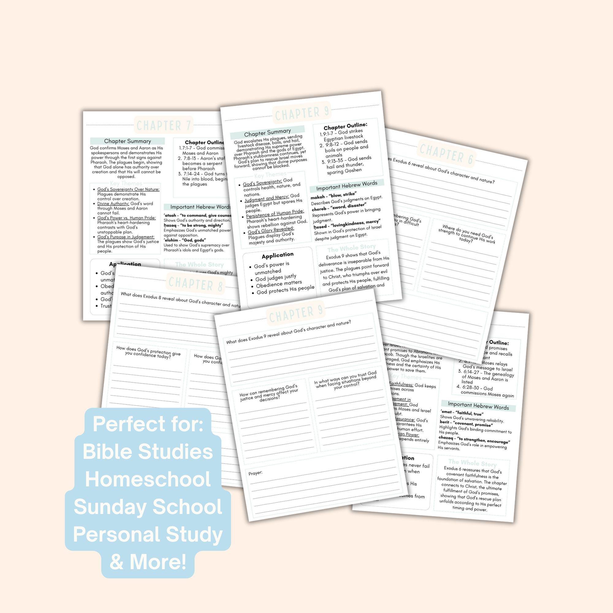 Exodus Bible Study Overview Printable Tip Ins Bible Chapter Study Guide ...
