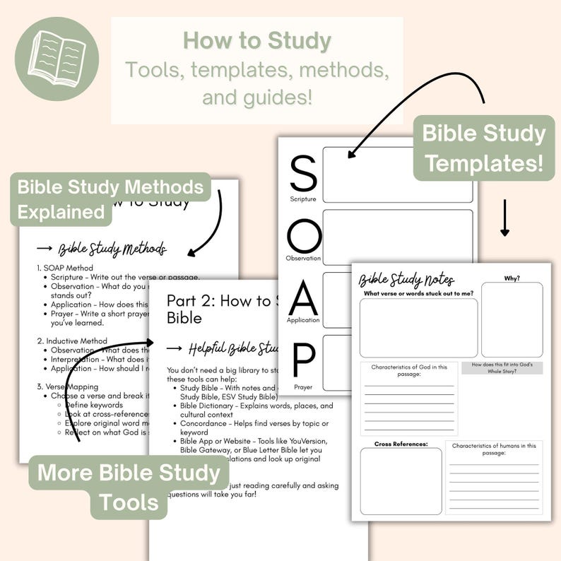 Beginner Bible Study Guide, How to Study the Bible, New Believers Bible ...