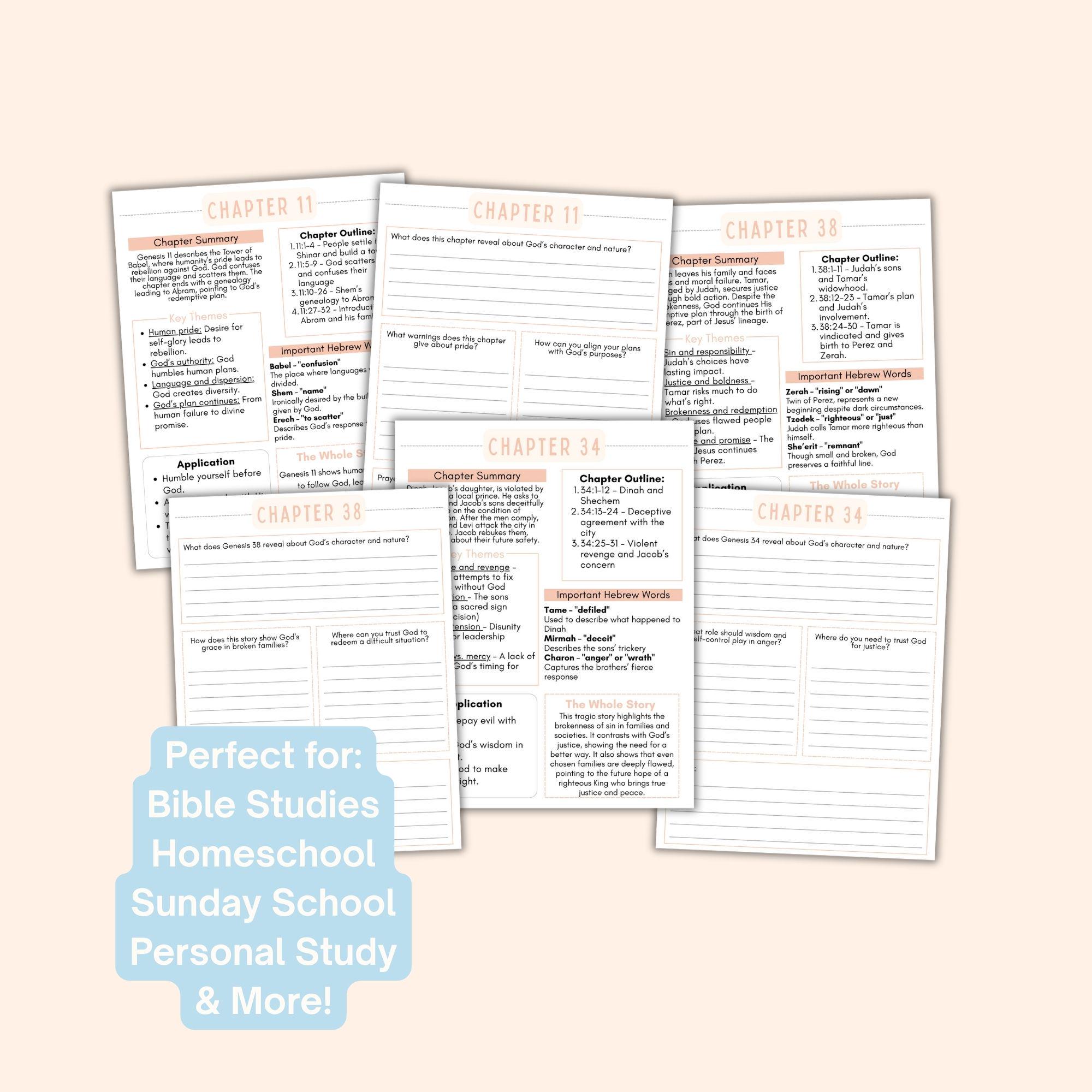 Genesis Bible Study Overview, Genesis Study Guide Journal, Bible ...