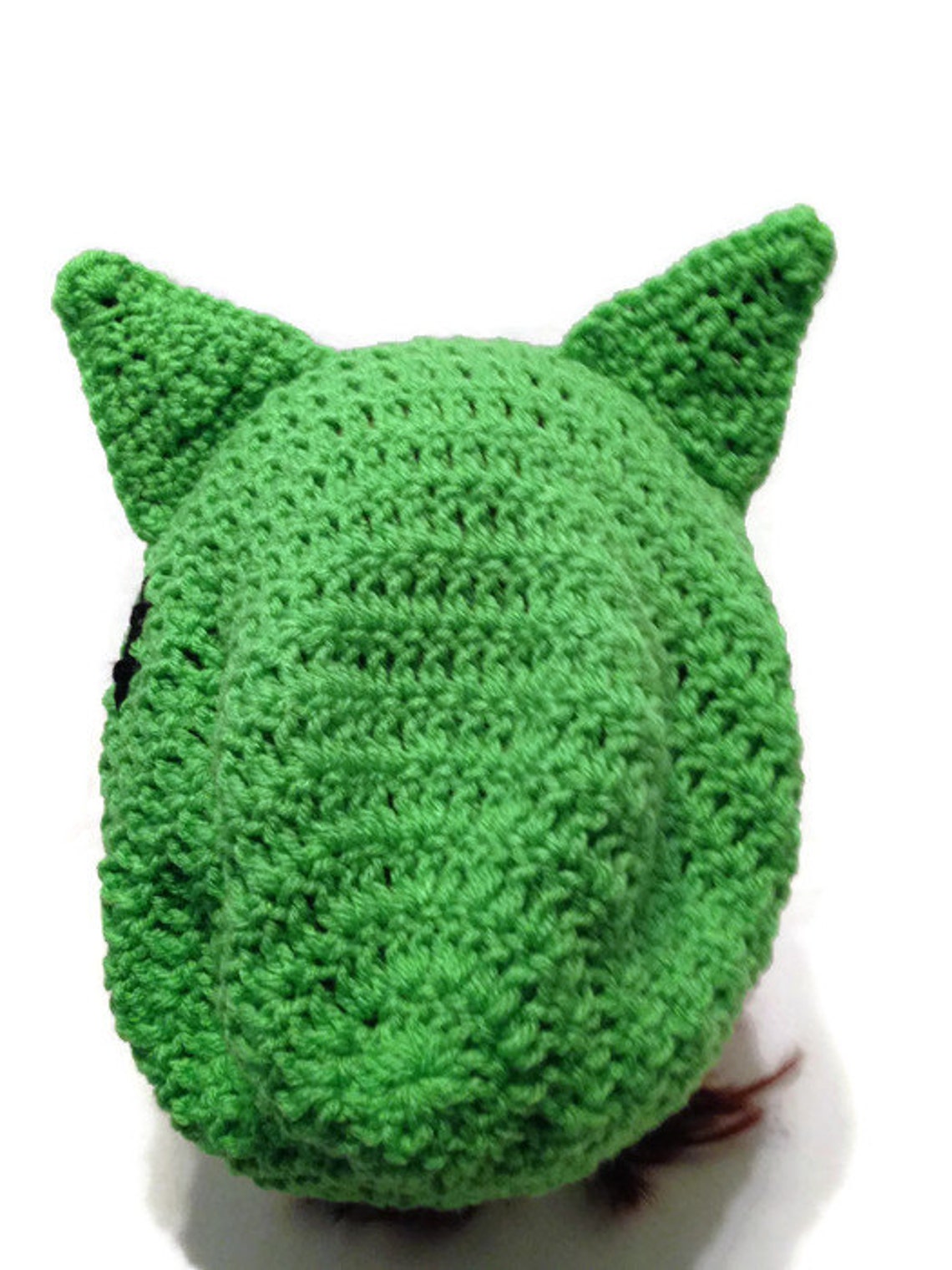 Zombie Cat, Green Cat Hat, Zombie Apocalypse, Cat Ears, Zombie Costume ...