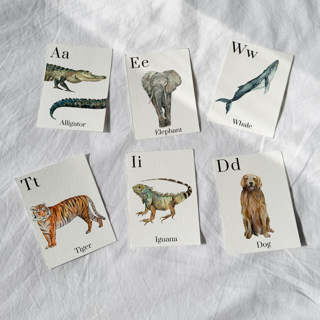 Watercolor Animal ABC Flash Cards: Educational Prints for Kids (digital ...
