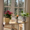 Window Sill Shelf Extension, Window Shelves, Windowsill Extender ...