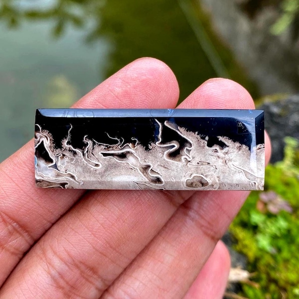 Palmroot Cabochon Pair - Etsy