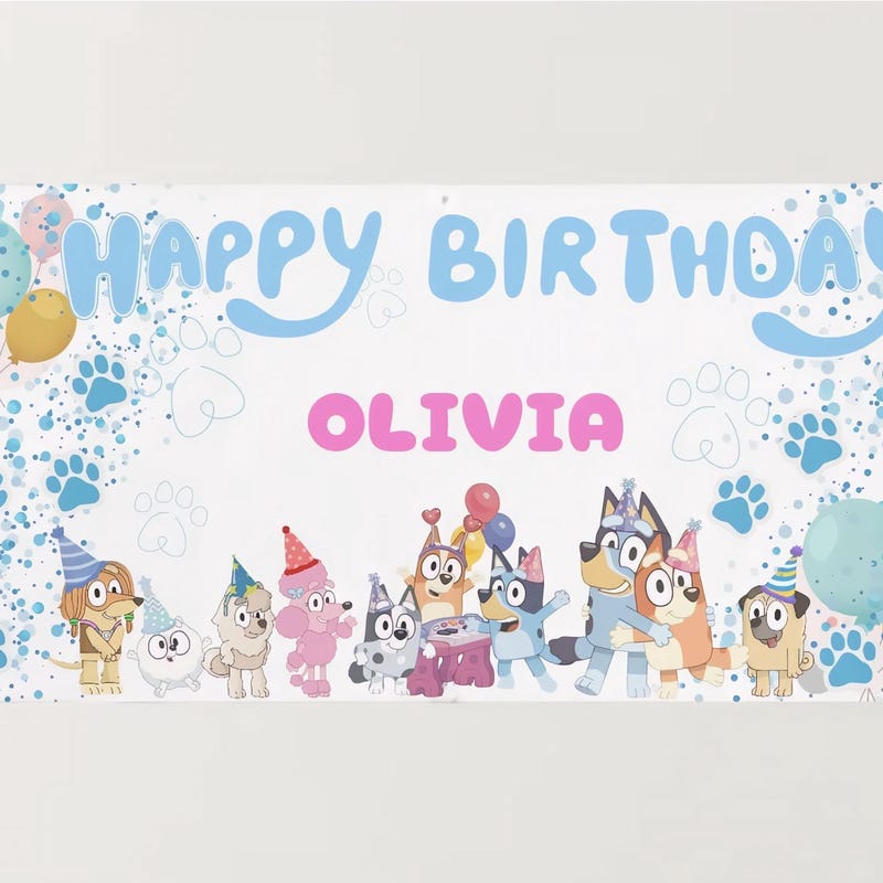 Bluey Backdrop - Etsy