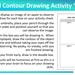 OBSERVATIONAL DRAWING, Art Lesson Plan, Visual Arts, Observational ...