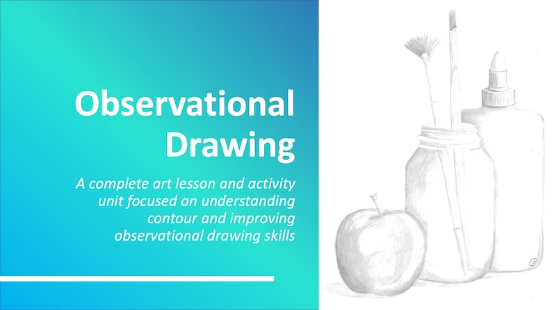 OBSERVATIONAL DRAWING, Art Lesson Plan, Visual Arts, Observational ...