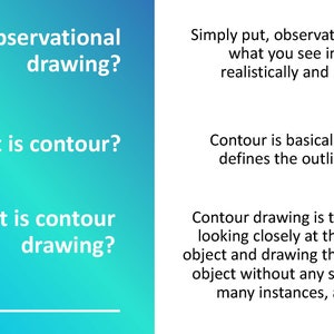 OBSERVATIONAL DRAWING, Art Lesson Plan, Visual Arts, Observational ...