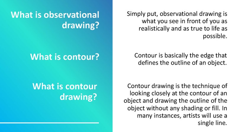 OBSERVATIONAL DRAWING, Art Lesson Plan, Visual Arts, Observational ...