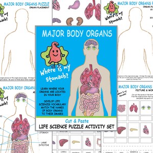 Human Body Organs Interactive Cut and Paste Puzzles & Picture Word ...