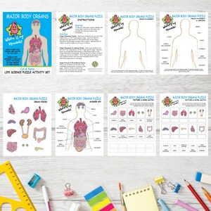 Human Body Organs Interactive Cut and Paste Puzzles & Picture Word ...