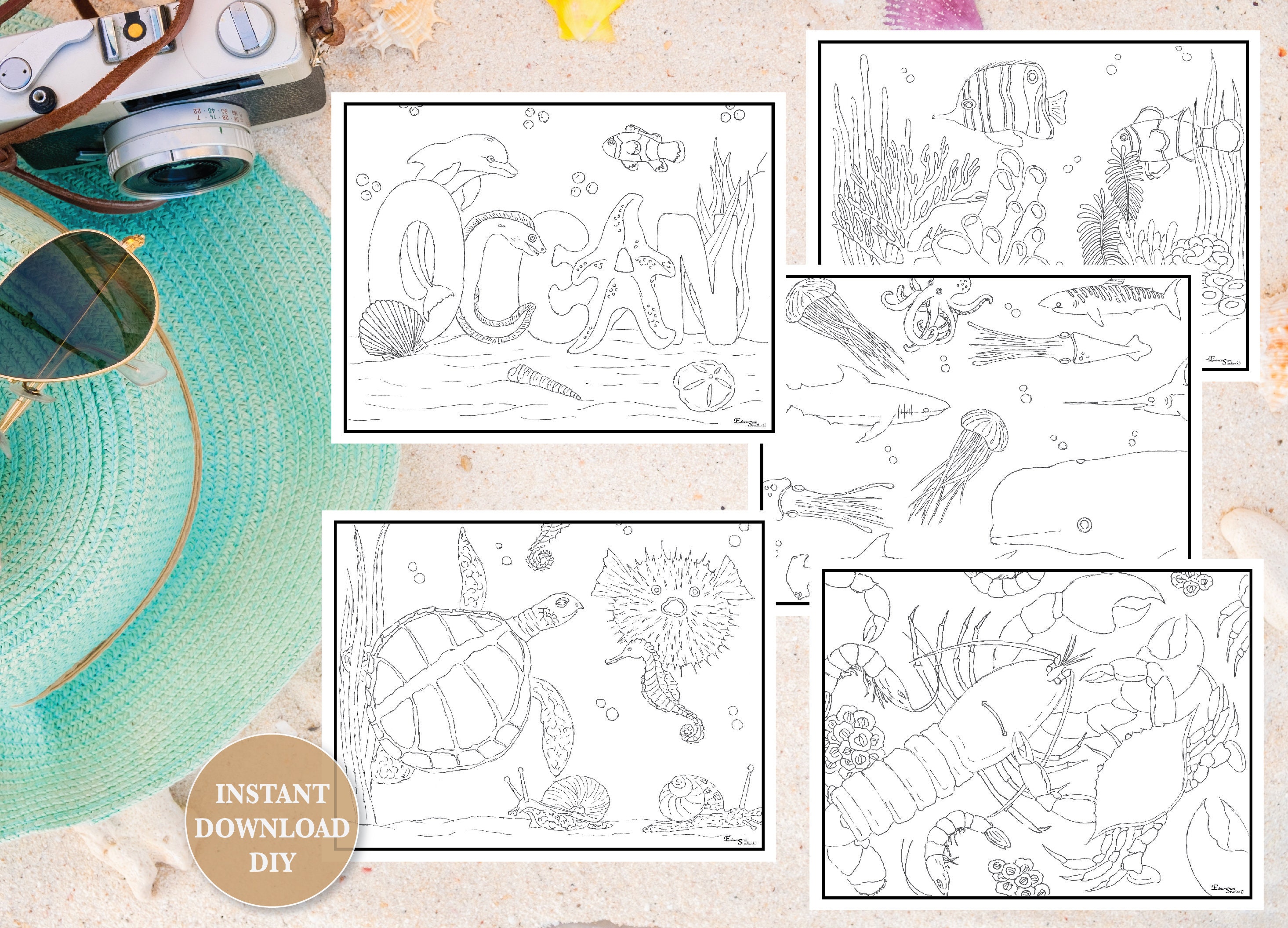OCEAN Life Coloring Pages, Summer Beach Vibes 5 Coloring Sheets ...