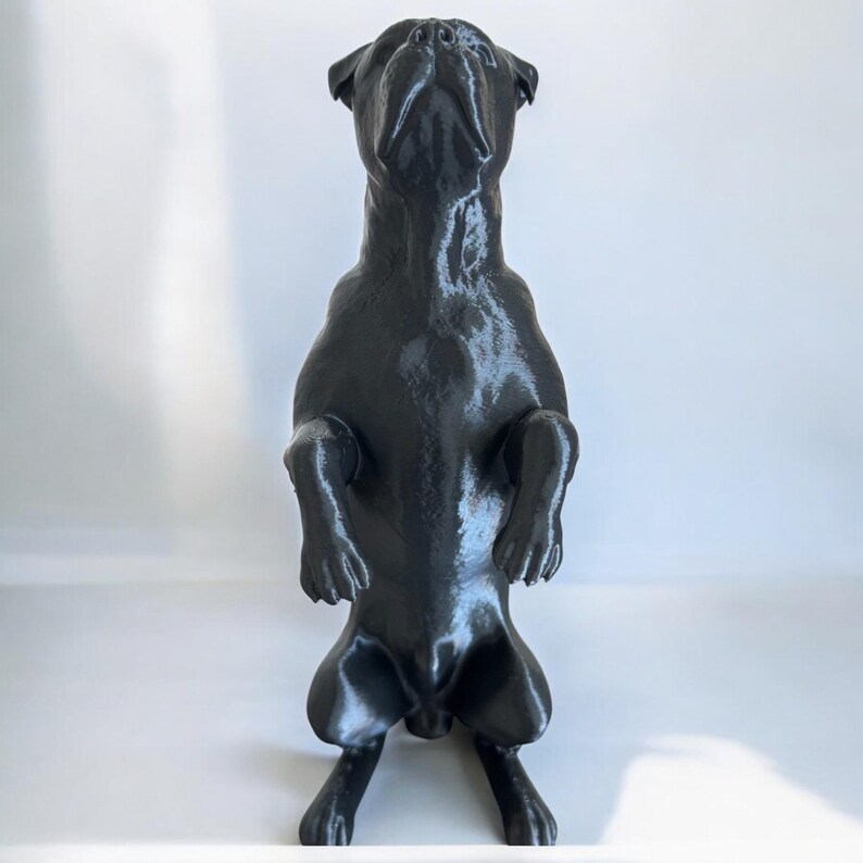 Cane Corso Statue 3D Printed Dog Sculpture Upright Sitting - Etsy