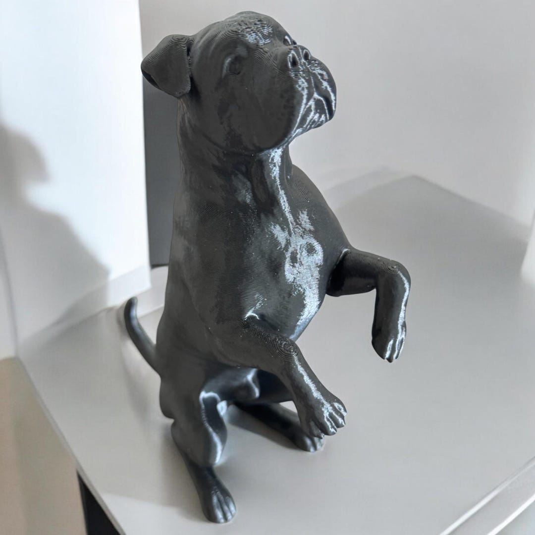 Cane Corso Statue 3D Printed Dog Sculpture Upright Sitting - Etsy