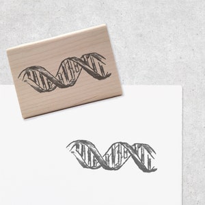 DNA Rubber Stamp Double Helix Biology Stamp Genetics STEM - Etsy