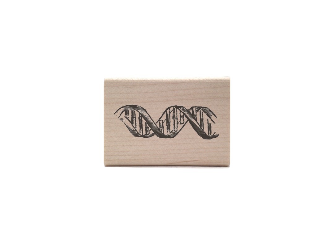 DNA Rubber Stamp Double Helix Biology Stamp Genetics STEM Stationery - Etsy