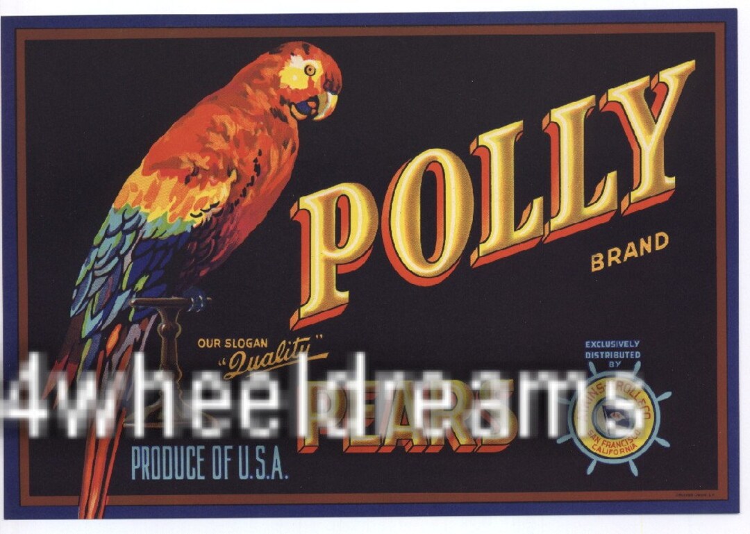 1930s Polly Parrot Perfect Tropical Rainforest Bird Scarce Pear Crate ...