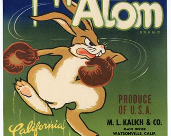 1976 off Road Baja 1000 Malcom Smith Bud Feldkamp Race - Etsy