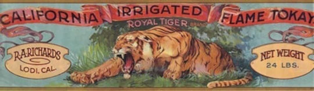 1910s Antique Royal Tiger Crate Label Big Cat Jungle - Etsy