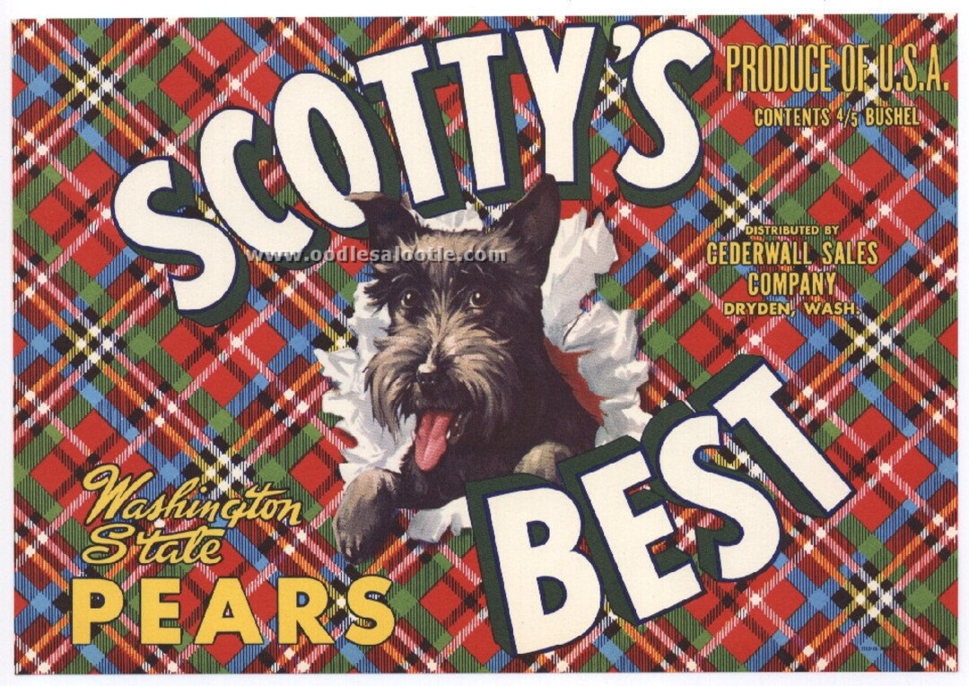 1940s Scottie Black Dog Pet Doggie Best Friend Vintage Label - Etsy