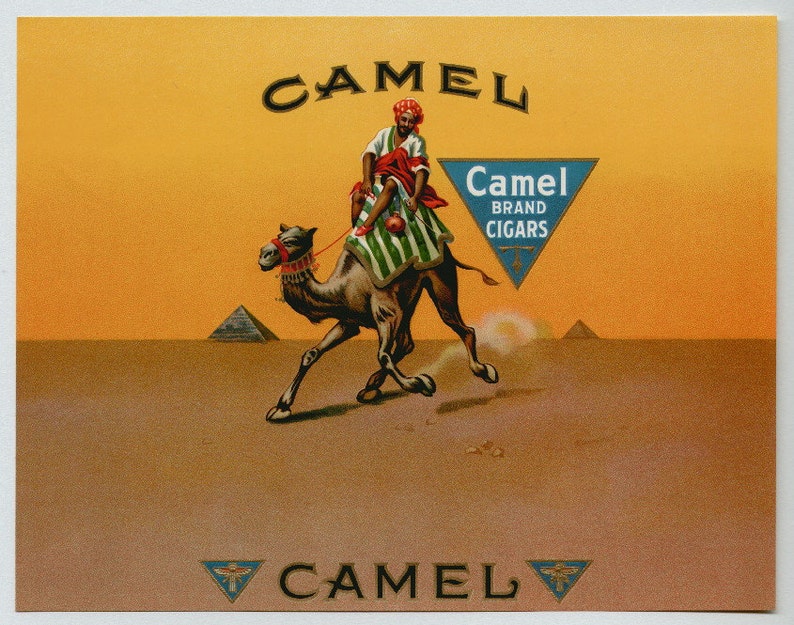 1920s Camel Camels Desert Antique Cigar Original Inner Cigar - Etsy