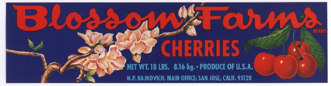 Cherries Cherry Blossoms Vintage Fruit Crate Label Lot Kitchen Art ...