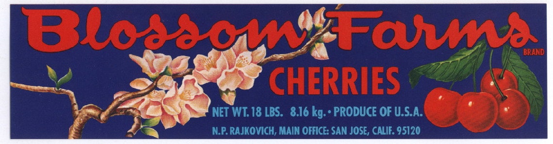 Cherries Cherry Blossoms Vintage Fruit Crate Label Lot Kitchen | Etsy
