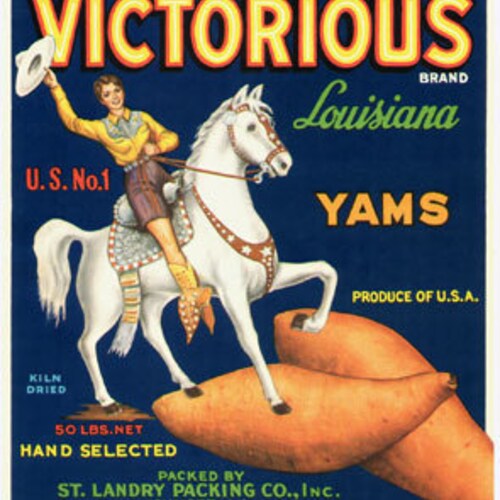 1950s Cowgirl on Prancing Horse Western Vintage Yam Label | Etsy