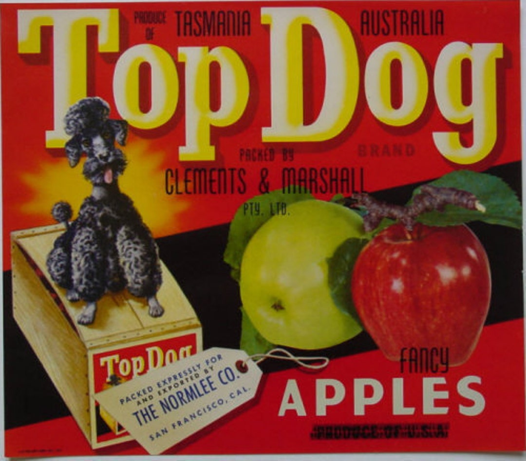 1940s Black Poodle Best Friend Dog Pet Pets Vintage Label - Etsy