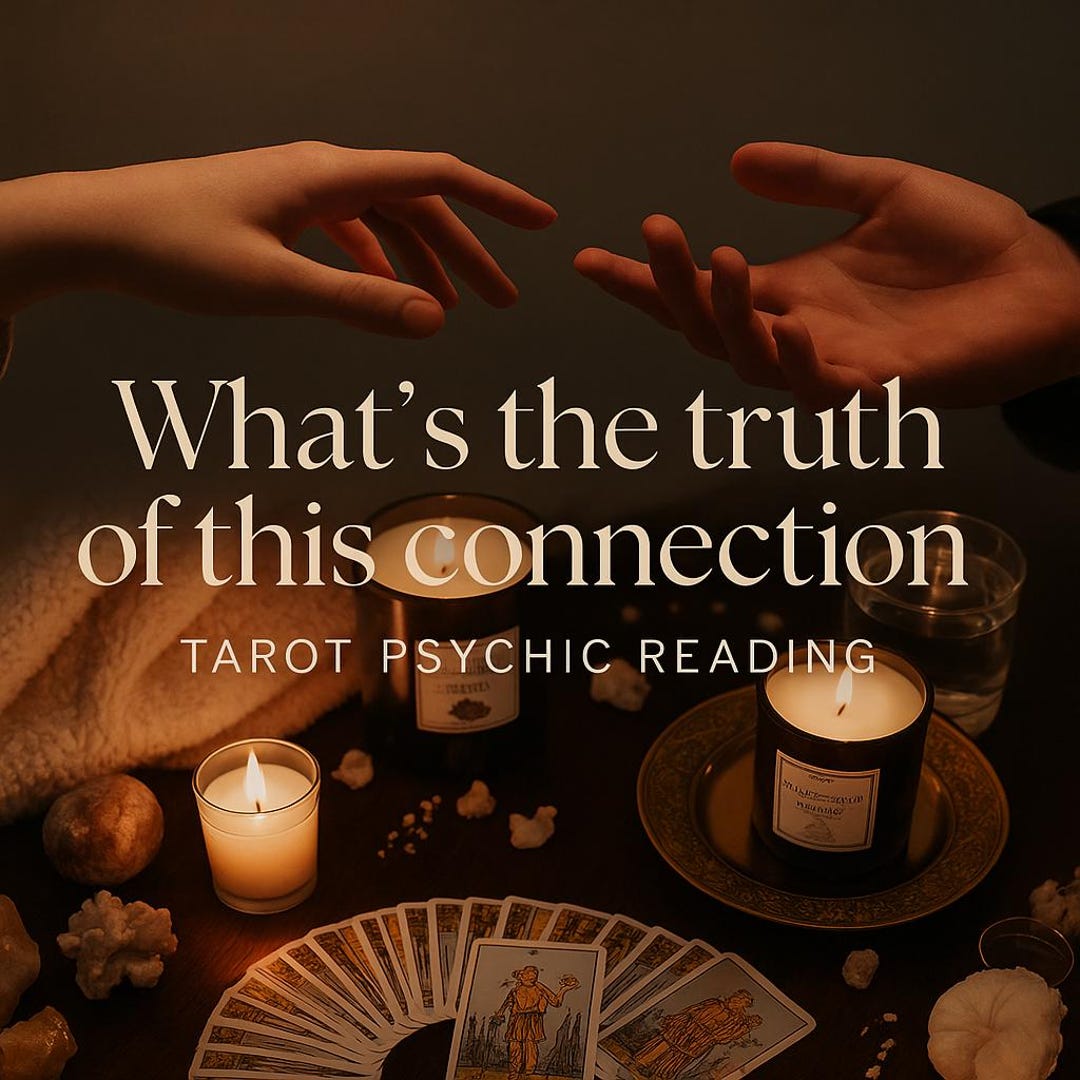 What’s the Truth of This Connection? | Tarot Psychic Reading | Love ...