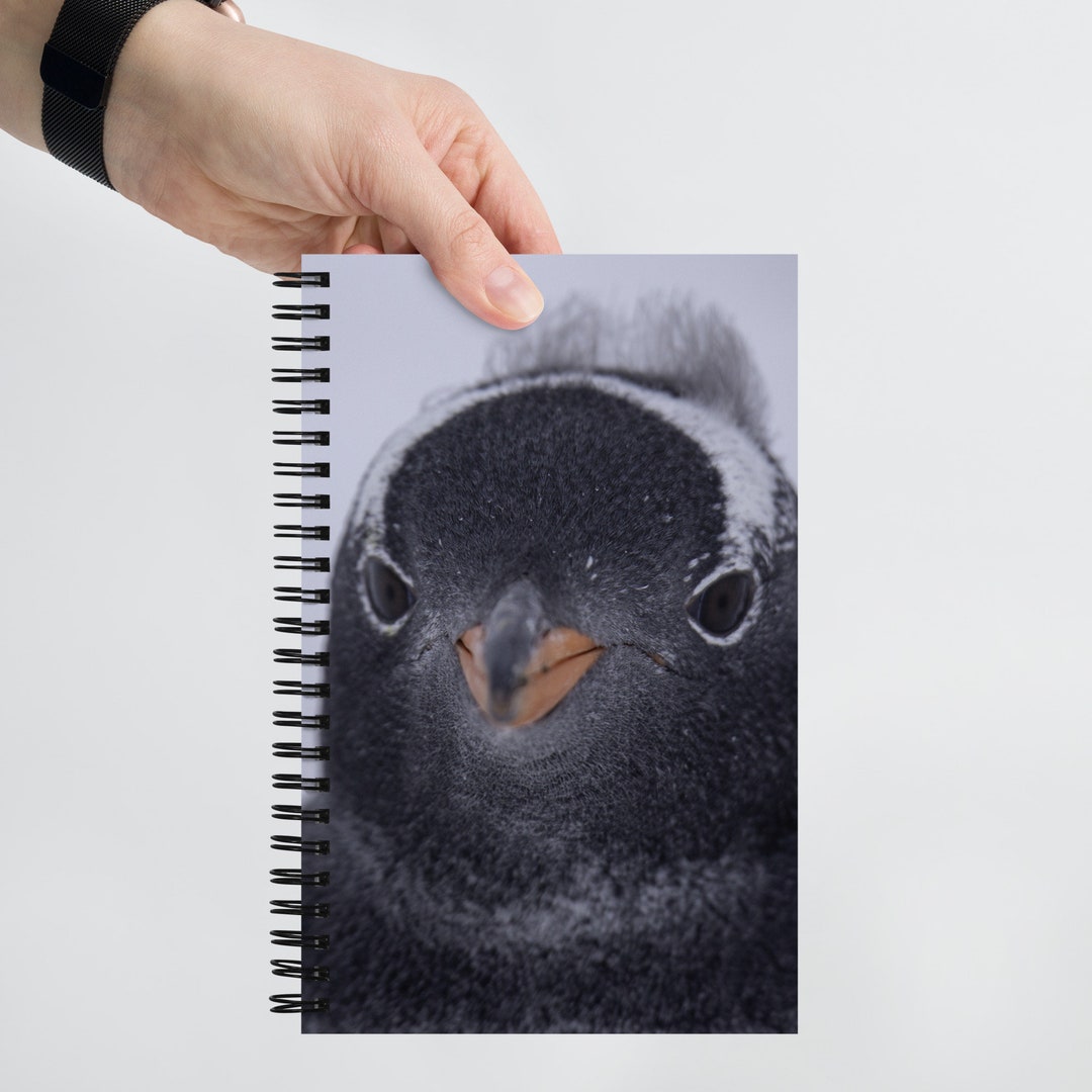 Gentoo Penguin Close up Antarctica Dotted Page Spiral Notebook Journal ...