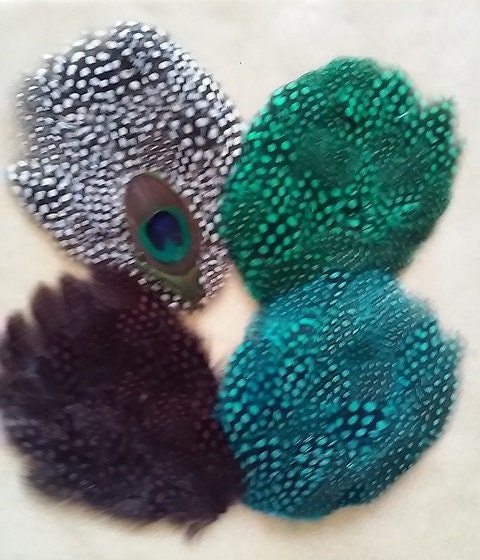 Dyed Guinea Feather Pads Choose From Turquoise Brown and | Etsy