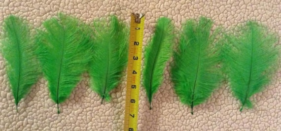 Ostrich Feathers Choose Neon Green Red Baby Pink or Groovy Design Etsy UK