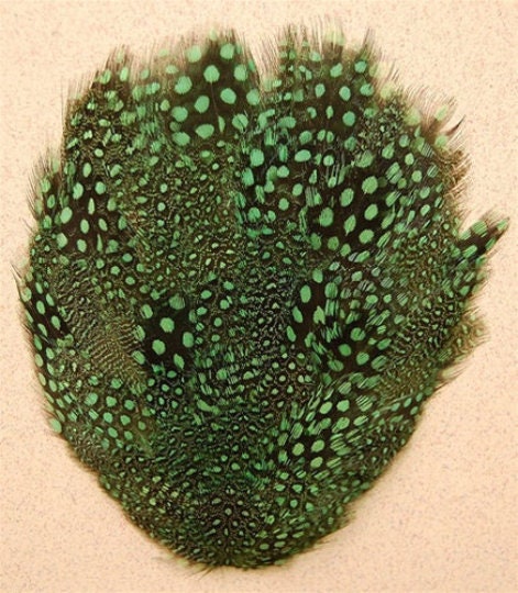 Dyed Guinea Feather Pads Choose From Turquoise Brown and | Etsy