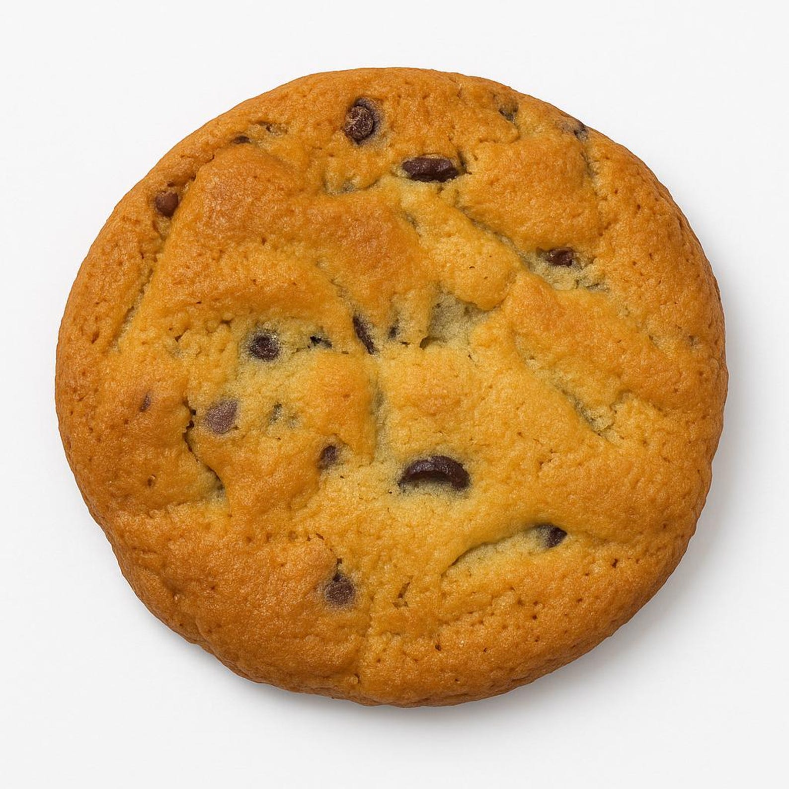 Giant Soft Baked Gooey Chocolate Chip Cookie Jumbo Thick Chewy Gourmet ...