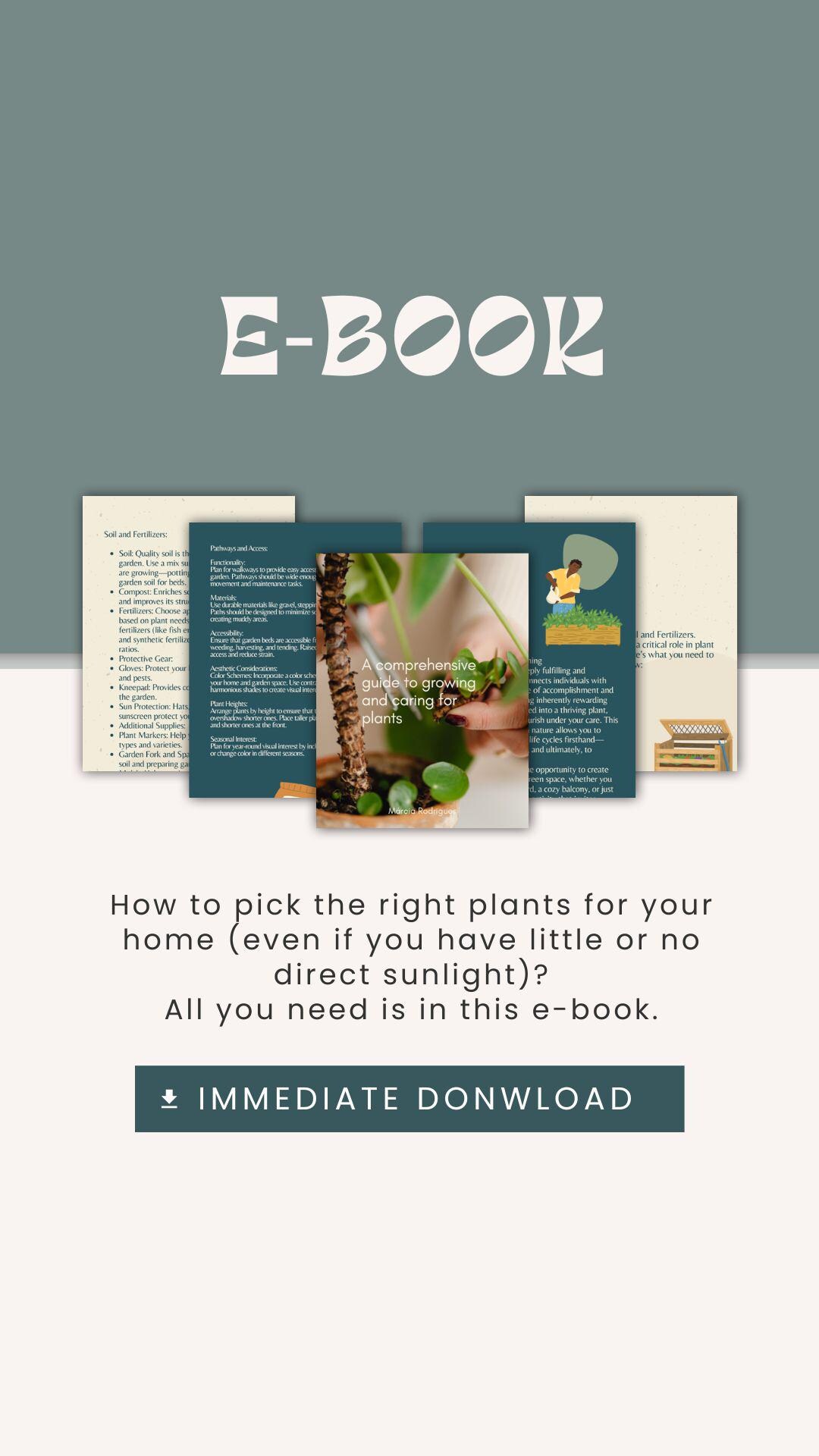 E-book - the Ultimate Plant Care Guide - Etsy