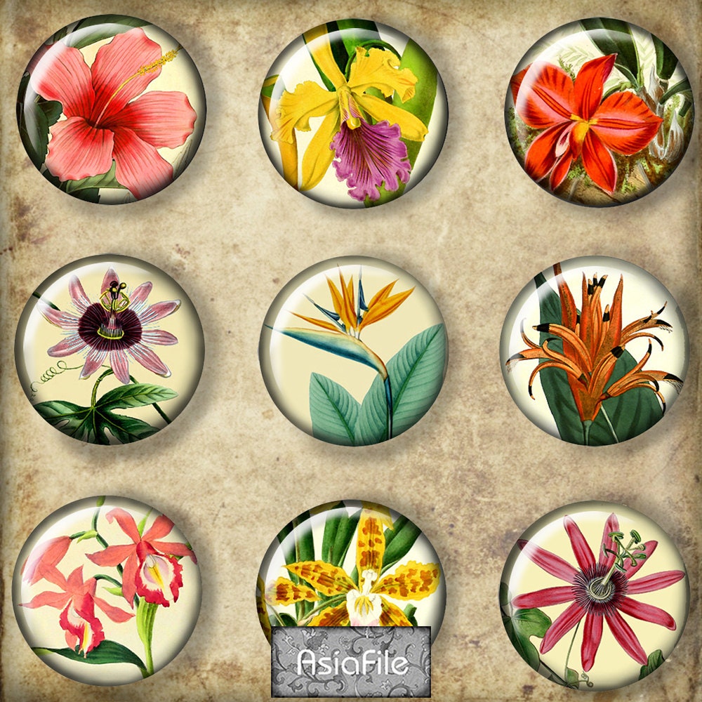Digital Printable Hawaiian Tropical Flowers, 1 Inch Circles AND 1.25 ...