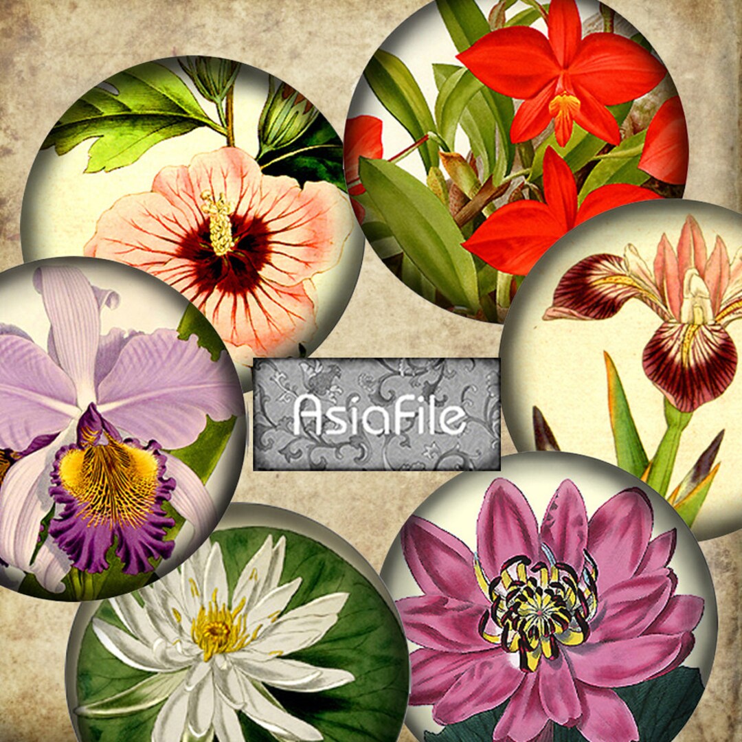 Digital Printable Hawaiian Tropical Flowers, 1 Inch Circles AND 1.25 ...