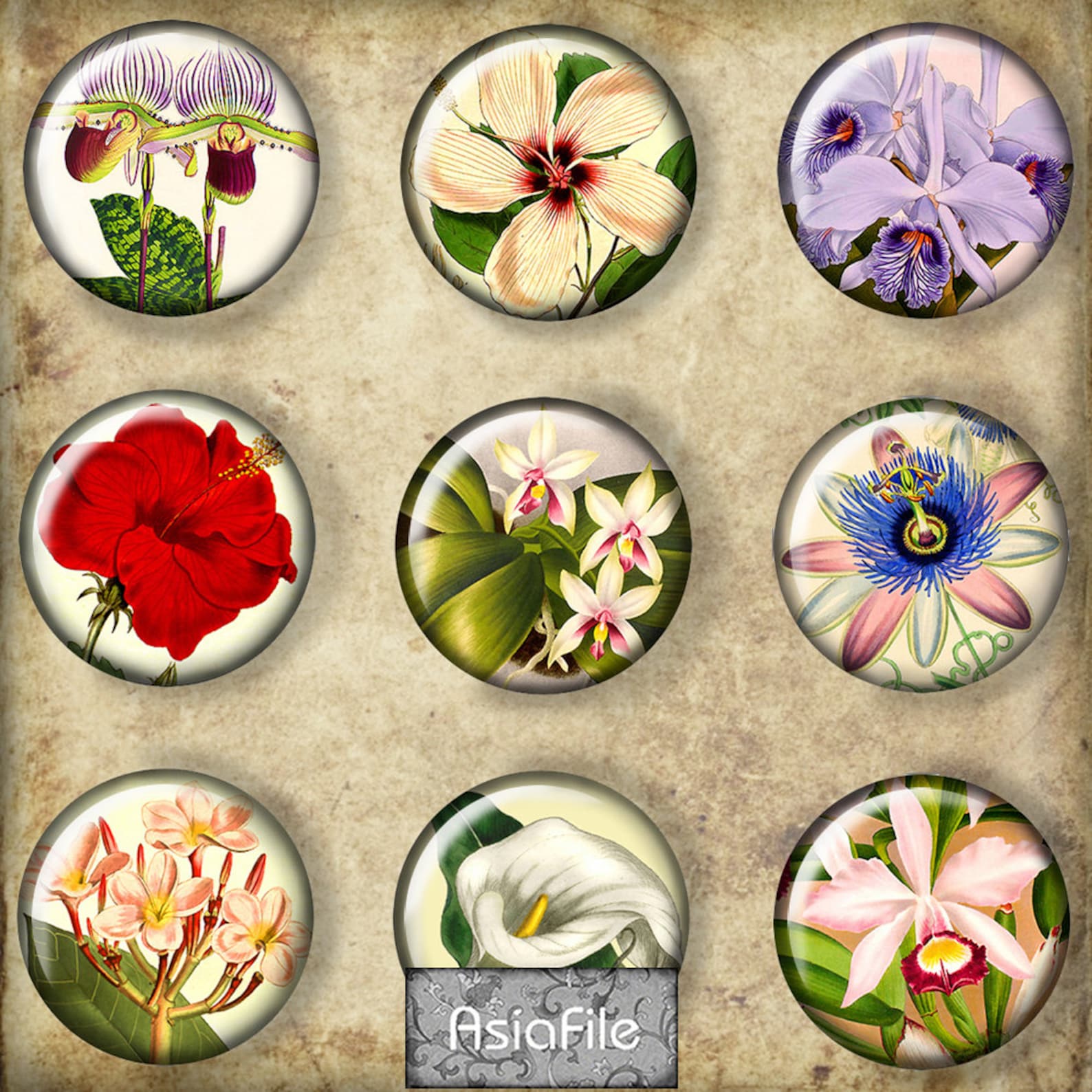 Digital Printable Hawaiian Tropical Flowers, 1 Inch Circles AND 1.25 ...