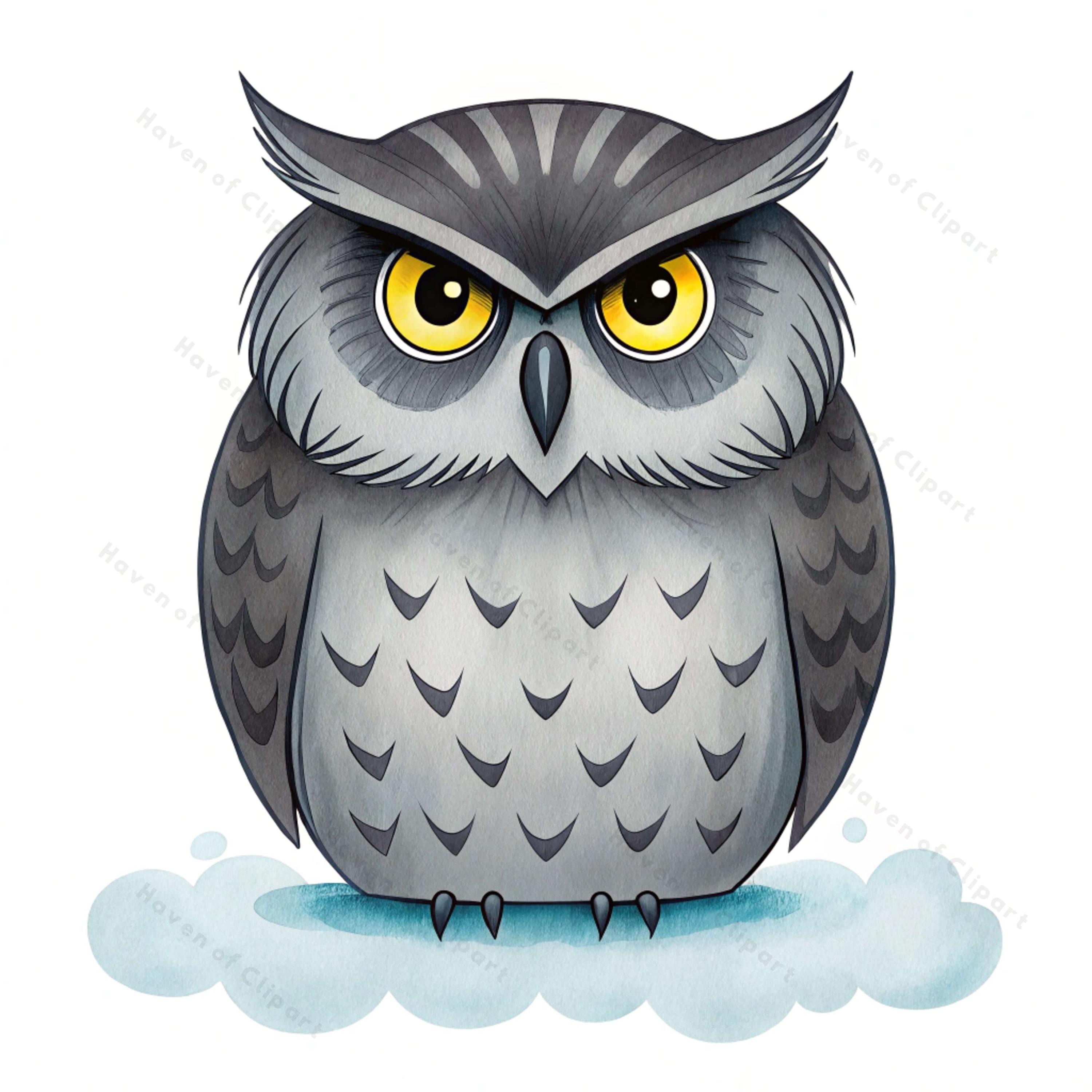 12 Grumpy Owl Clipart Set • Watercolor Angry Owl Illustrations in ...