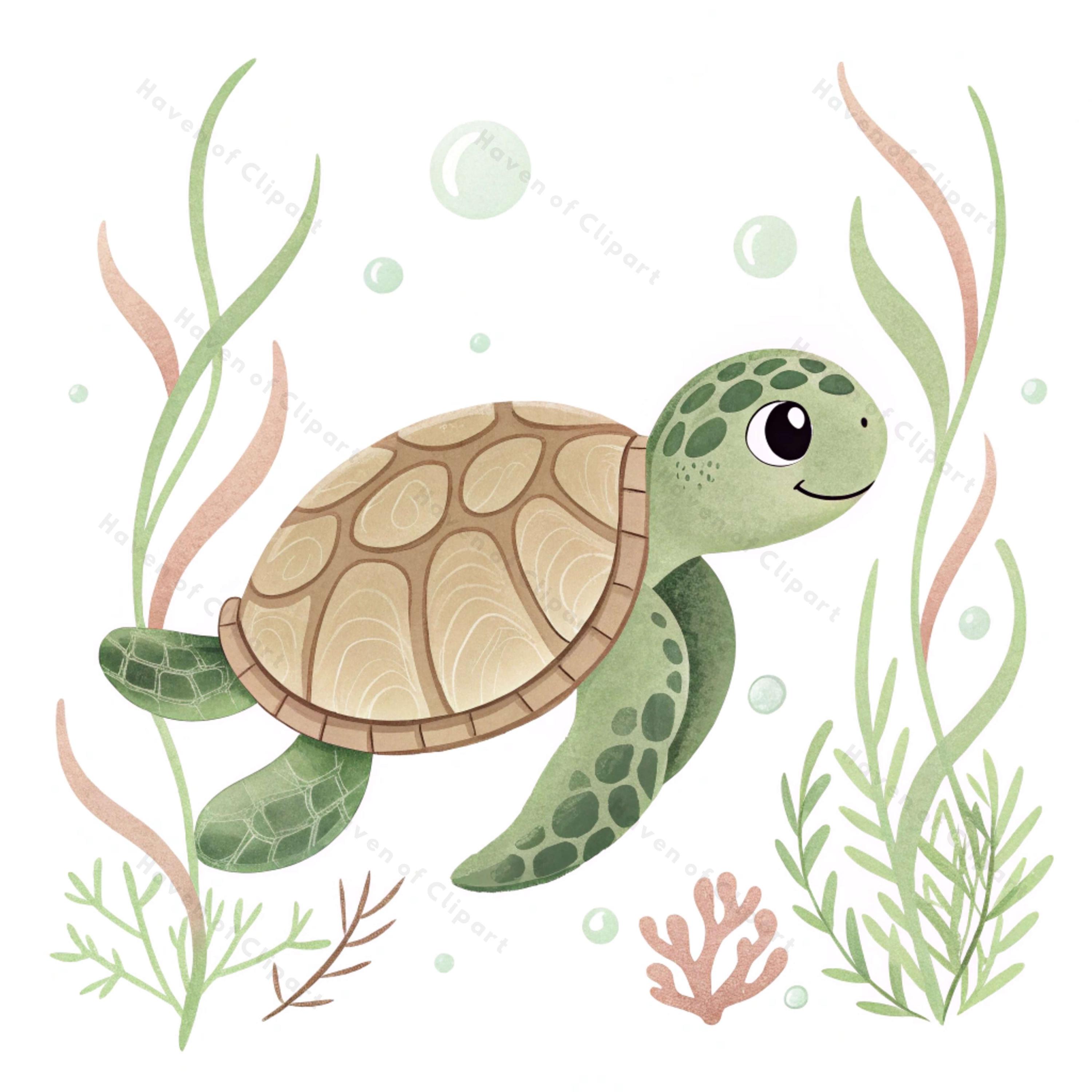 12 Sea Turtle Clipart With Coral • Watercolor Ocean Animal PNG JPG ...