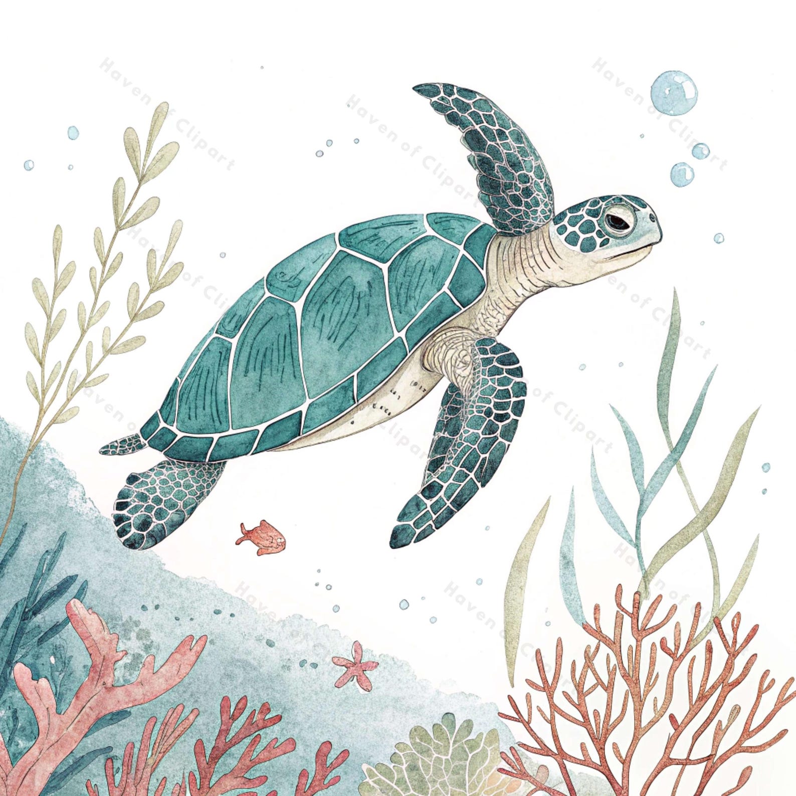 12 Sea Turtle Clipart With Coral • Watercolor Ocean Animal PNG JPG ...