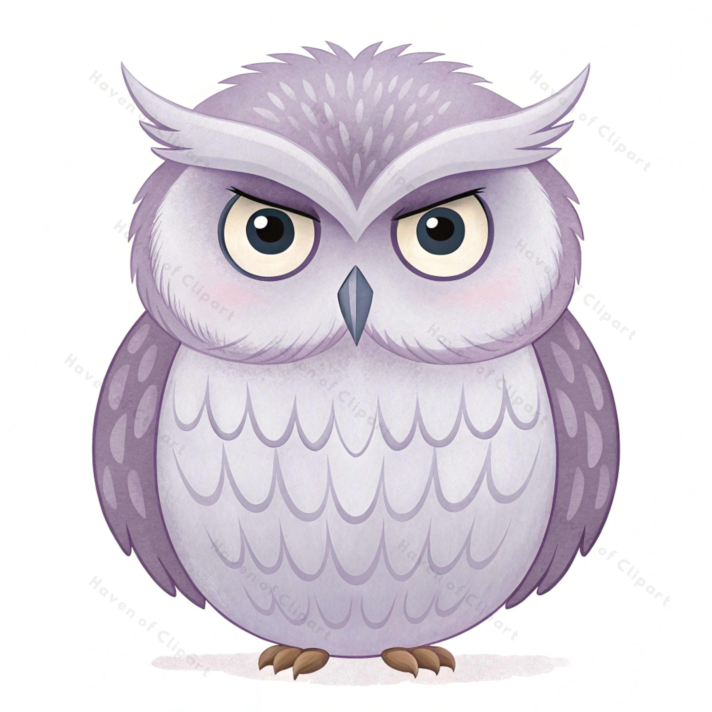 12 Grumpy Owl Clipart Set • Watercolor Angry Owl Illustrations in ...