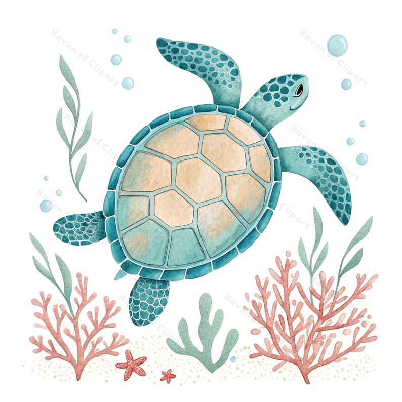 12 Sea Turtle Clipart With Coral • Watercolor Ocean Animal PNG JPG ...