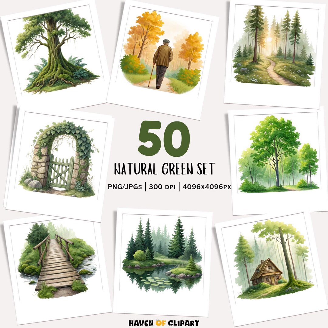 50 Forest Trees Clipart Set • Vintage Green Woodland Collection • Soft ...