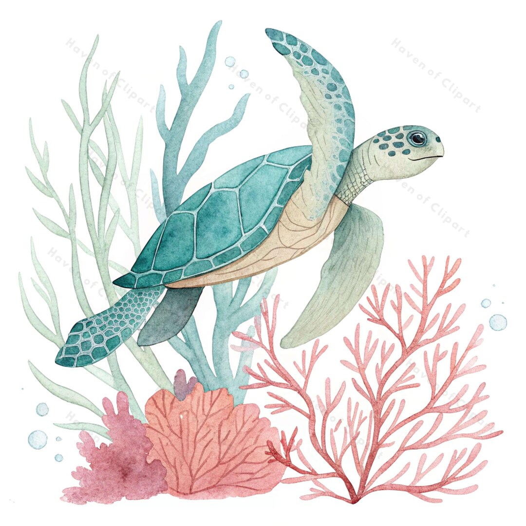 12 Sea Turtle Clipart With Coral • Watercolor Ocean Animal PNG JPG ...