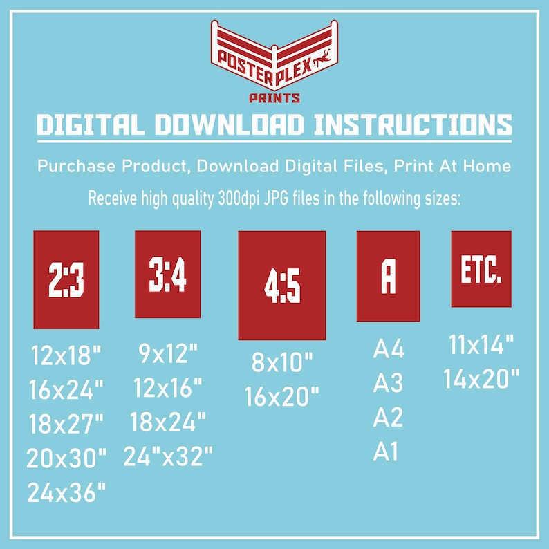 Danielson Poster, Pro Wrestling Poster, Minimalistic Sports Poster ...
