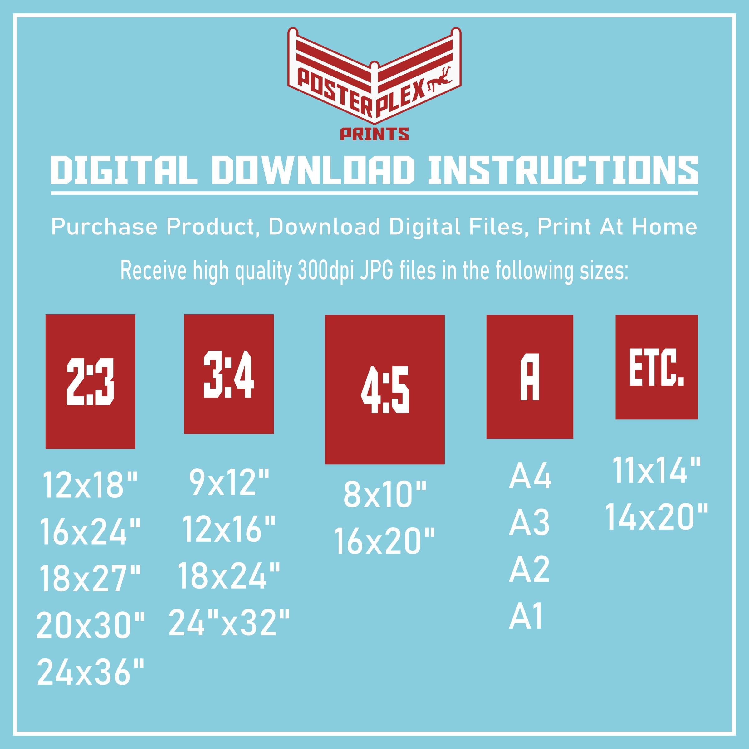 Cena Poster, Pro Wrestling Poster, Minimalistic Sports Poster ...